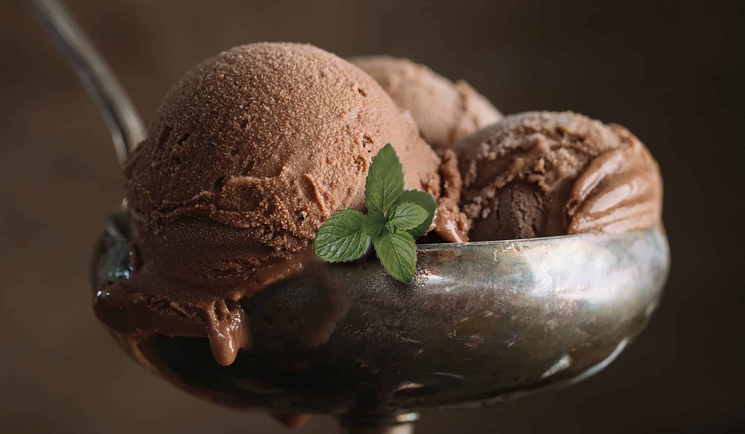 Chocolate Mint Ice Cream - Functional Formularies
